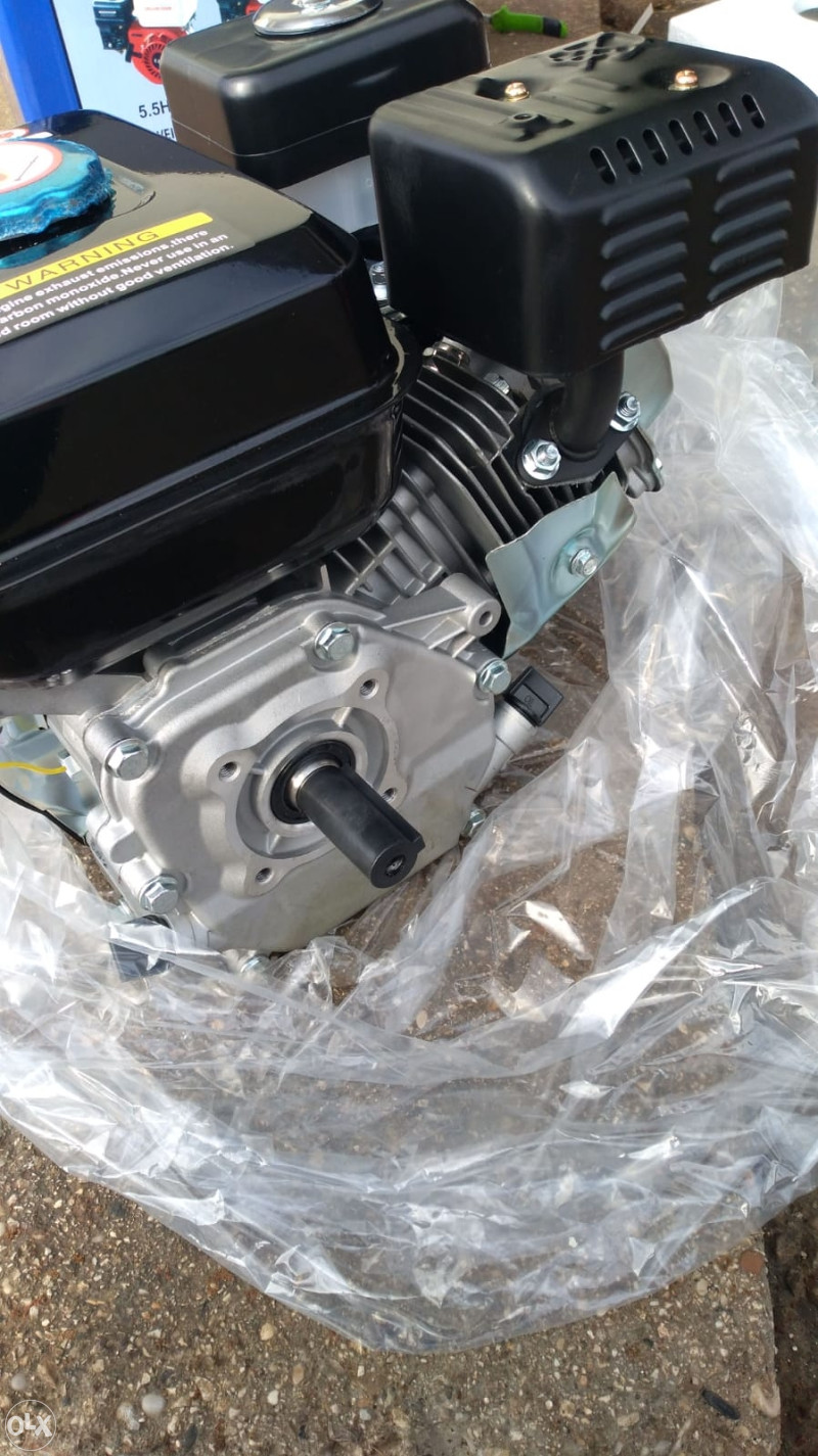 Motor frezu..vod pumpu..vibro žaba..freza 6.5ks - Motori (za ...