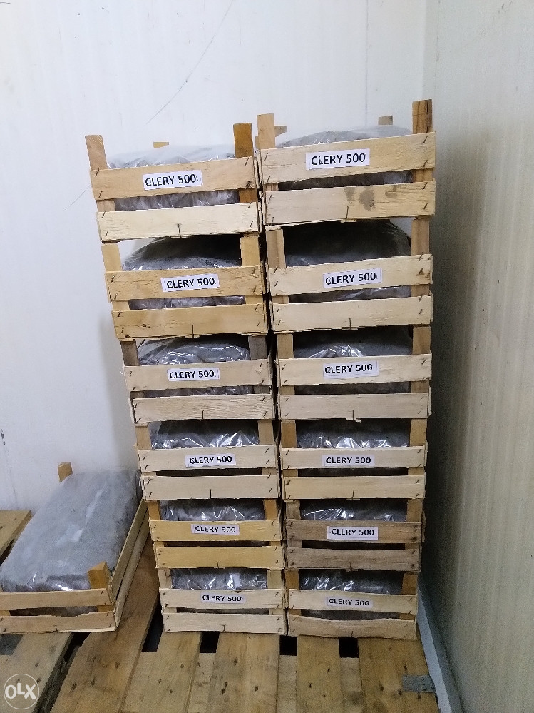 Frigo sadnice jagode sa certifikatom - Sadnice - OLX.ba