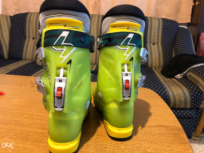 Turno pancerice (turne) br. 41 - Pancerice - OLX.ba