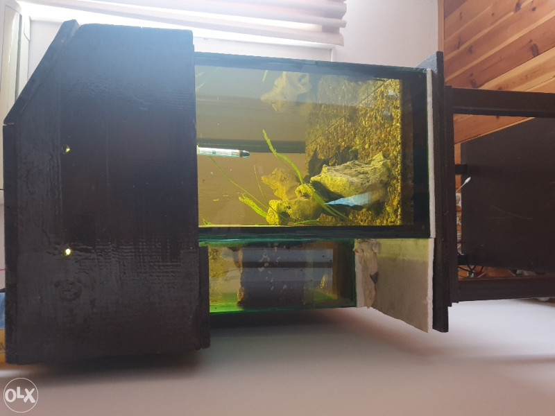 Akvarijum komplet - Akvarijumi - OLX.ba