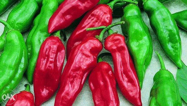 Habanero Maya Red Chilli, Chili, čili ~10+ sjemenki - Sjemena - OLX.ba